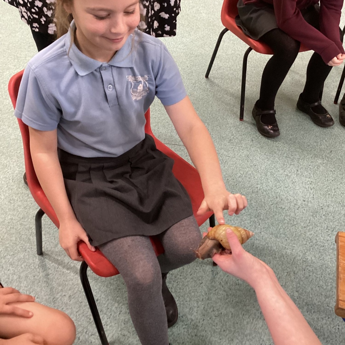 Dobwalls Community Primary School - Wild Science Workshop - British ...